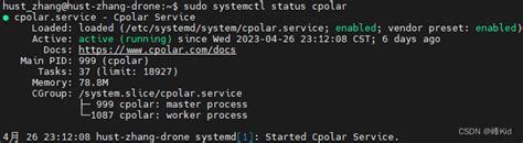 Vscode远程ssh调试linuxcpolar内网穿透cpolar Ssh Csdn博客