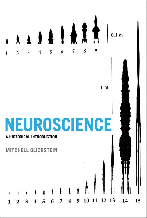 Neuroscience By Mitchell Glickstein Penguin Books Australia