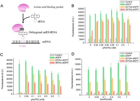 Optimal Aars Concentration Screening Three Aarss At Different