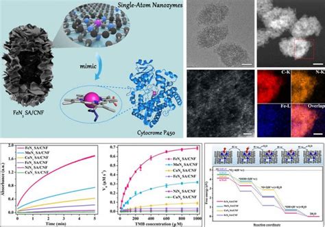 Single Atom Nanozymes Image Eurekalert Science News Releases