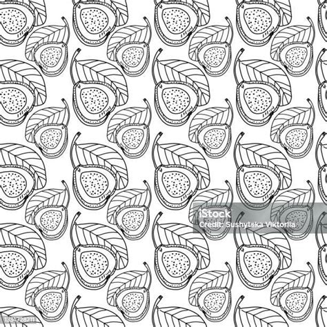 구아바 과일과 벡터 원활한 패턴 흑백의 열대 패턴 열대 과일 구아바에 대한 스톡 벡터 아트 및 기타 이미지 구아바 0명 검은색 Istock