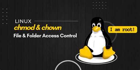 Linux Chmod And Chown — The File And Folder Access Control By Anupam Majhi Medium