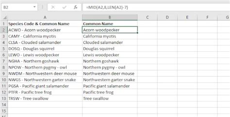 How To Use The Excel MID Function GoSkills