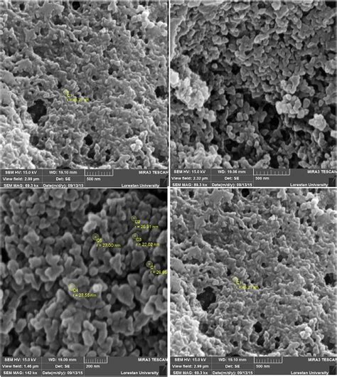 Scanning Electron Microscope Of Copper Nanoparticles Synthesized Using Download Scientific