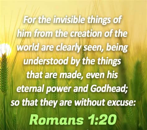 Frantz Andre On Linkedin 👉🏼 How Are Gods Invisible Attributes Clearly Seen In Creation Romans…