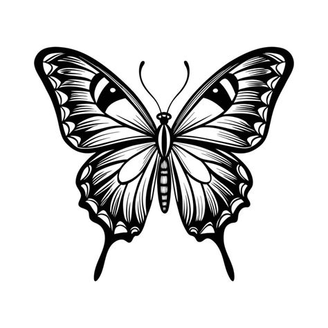 Butterfly Tattoo Design Illustration 51691376 Vector Art At Vecteezy