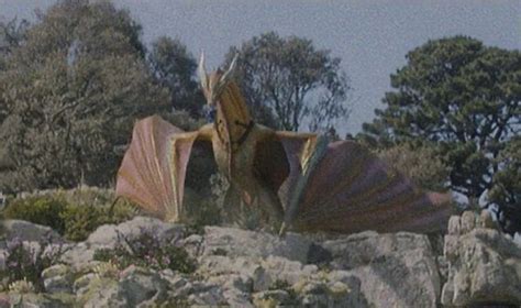 Sunfyre Wiki Of Westeros Fandom