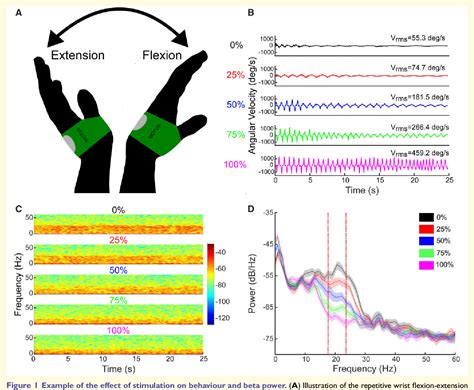 Figure 1 From Modulation Of Beta Bursts In Subthalamic Sensorimotor Circuits Predicts