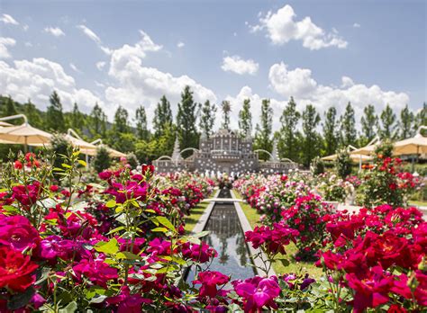 에버랜드 화수목 花水木 힐링 프로그램 추천
