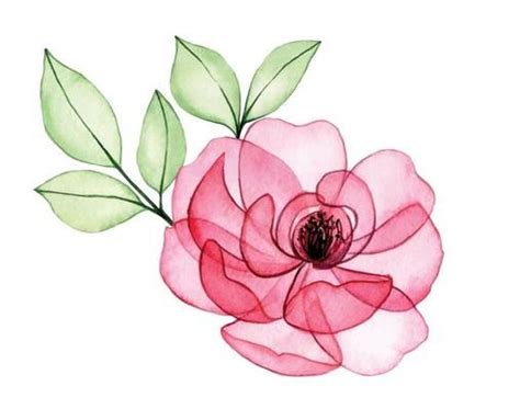 Ilustração De Uma única Flor Rosa Pode Ser Usado Para Elementos De