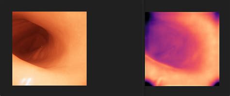 Why Are The Four Corners Of The Predicted Depth Map Black · Issue 12 · Shuweishaoaf