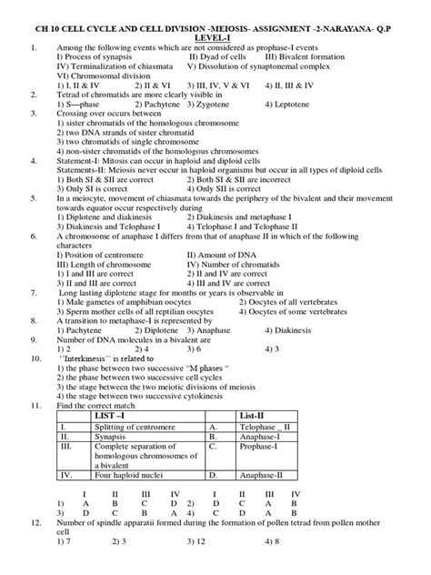 Ch 10 Cell Cycle And Cell Division Meiosis Assignment 2 Narayana Qp