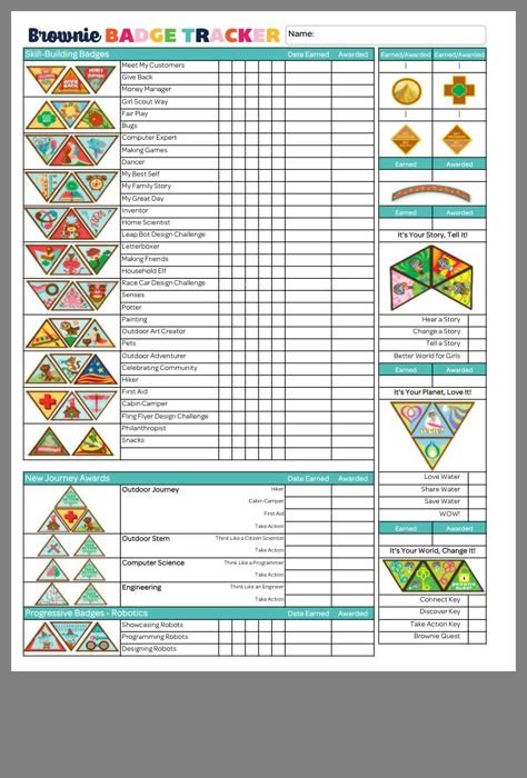 8 Best Brownie Sash Ideas Girl Scout Brownie Badges Brownie Girl