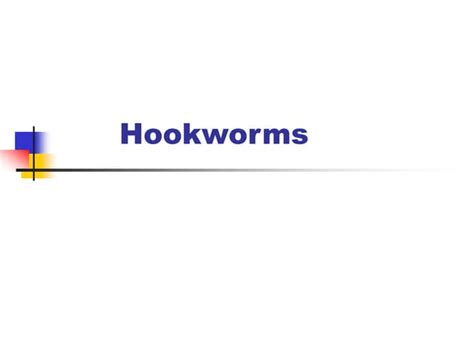 Parasitology Hookworm Pptx Slides 1 Ppt