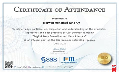 Marwan Mohamed On Linkedin Cibsummerinternship2024 Sas