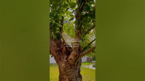 قُلْ إِنَّ رَبِّي يَبْسُطُ الرِّزْقَ لِمَن يَشَاءُ مِنْ عِبَادِهِ Youtube