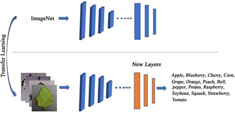 Plant Disease Detection Using Machine Learning Leaf Disease Detection Using Fr Cnn And Unet