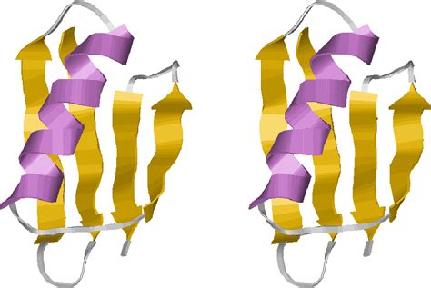 Figure 21 From Predicting Protein Secondary Structure Using Artificial Neural Networks Current