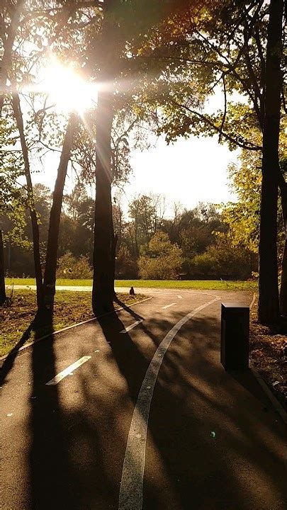 Велосипедная дорожка в парке Youtube