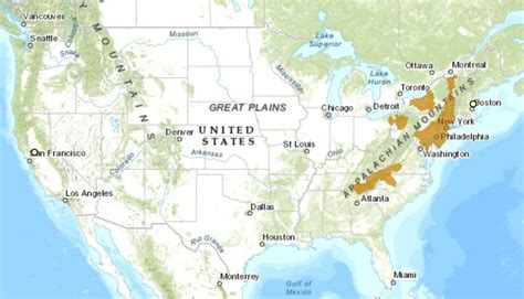 Saving The Tiny Bog Turtle Could Have A Big Impact On Conservation Appalachian Voices