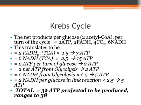 PPT KREBS CYCLE PowerPoint Presentation Free Download ID 2064185