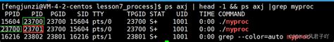 Linux 进程的状态详解 进程t状态 Csdn博客