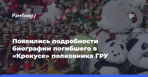 Появились подробности биографии погибшего в «Крокусе полковника ГРУ Рамблер новости