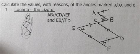 Solved Calculate The Values With Reasons Of The Angles Marked A B C And D Lacerta The