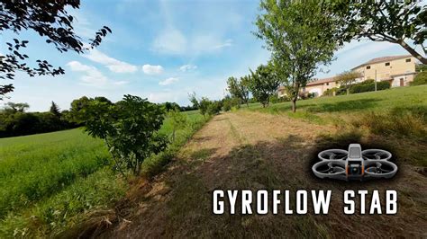 Dji Avata 2 With Gyroflow After Imu Gimbal And Compass Calibration Youtube