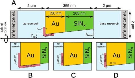 Schematic Axisymmetric Simulation Geometry Of The Nanopore Based Sensor