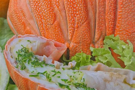 Australian Char Grilled Lime And Garlic Balmain Bug Recipe