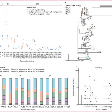 Genetic Diversity In Transmission Clusters Prolonged Colonisation And Download Scientific