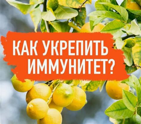 Как повысить иммунитет с помощью народных средств в домашних условиях Рецепт имбирного чая