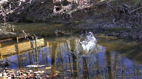 Hydrodynamic Response To An Impacting Body In Slow Motion Youtube