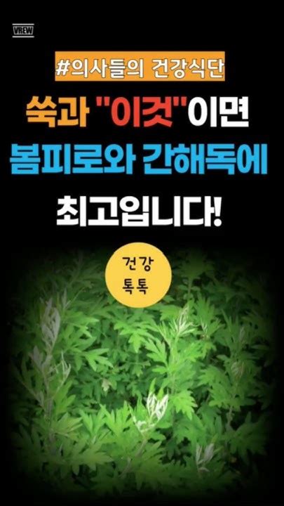 쑥의 놀라운효능과 최고의 궁합음식 이것건강 운동 다이어트 식단 수면 면역 소화 장건강 혈당 혈압심장 간건강 간해독 피부 노화 Youtube