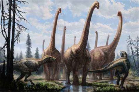Zigong Yifeng Science And Technology Co Ltd Animatronic Dinosaur