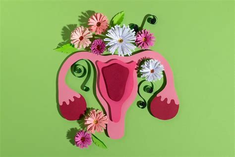 여성 생식 기관 사진 무료 고품질 사진 다운로드 Freepik