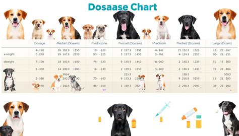 Prednisone Dosage For Dogs Chart By Weight