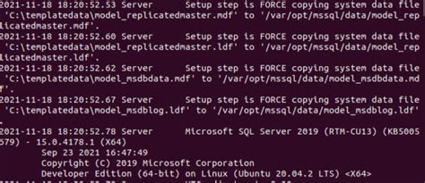 Rebuild System Databases For Sql Server On Linux And Windows