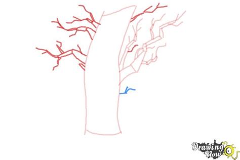 How To Draw A Scary Tree DrawingNow