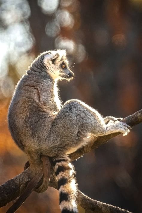 Creative Shots That Blur The Focus VIEWBUG Com