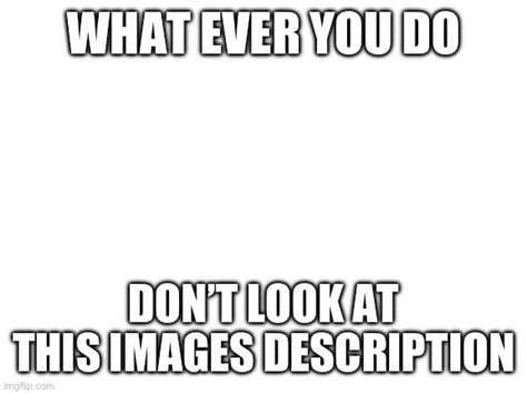 Dont Do It Imgflip