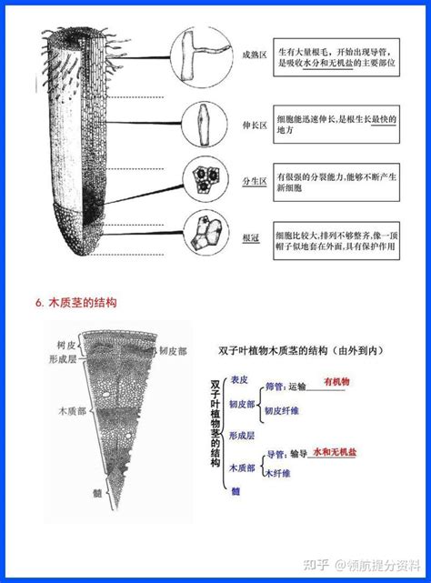 初中生物识图题（超全版 答题模板（1） 知乎