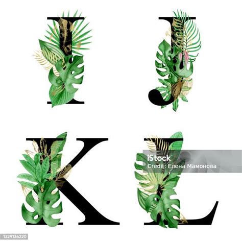 꽃 알파벳 세트 컬렉션 수채화 녹색과 금 열대 잎 몬스터 손바닥 바나나 잎 결혼식 초대장 베이비 샤워 승화 디자인 생일 다른 개념 아이디어 0명에 대한 스톡 벡터 아트 및