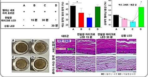 Kaist 면 발광 마이크로 Led패치 개발피부 미백효과 높여