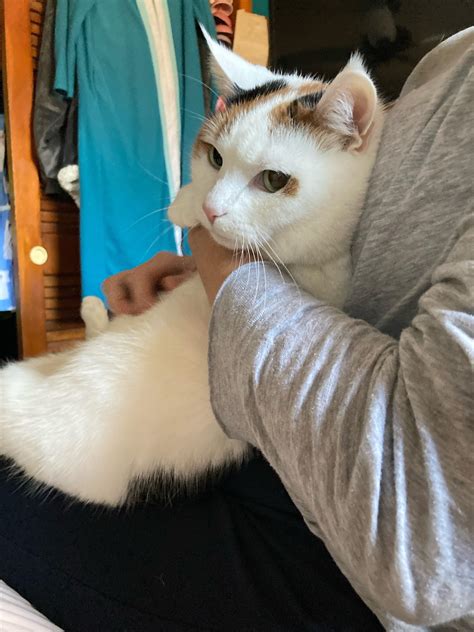 The Indignity Rthisismylifemeow