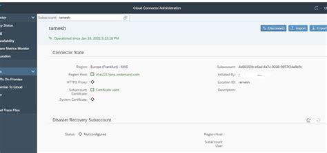 Send Idoc From Cloud Platform Integration To Ecc Sap Community