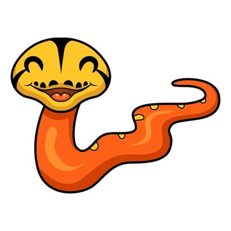 Dessin Animé Mignon Python Réticulé Enfant Doré Albinos Vecteur Premium