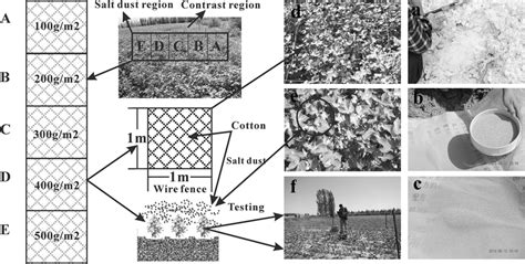 Setup Of Simulation Experiments Download Scientific Diagram