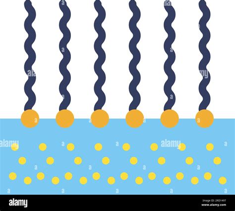 Monolayer Stock Vector Images Alamy